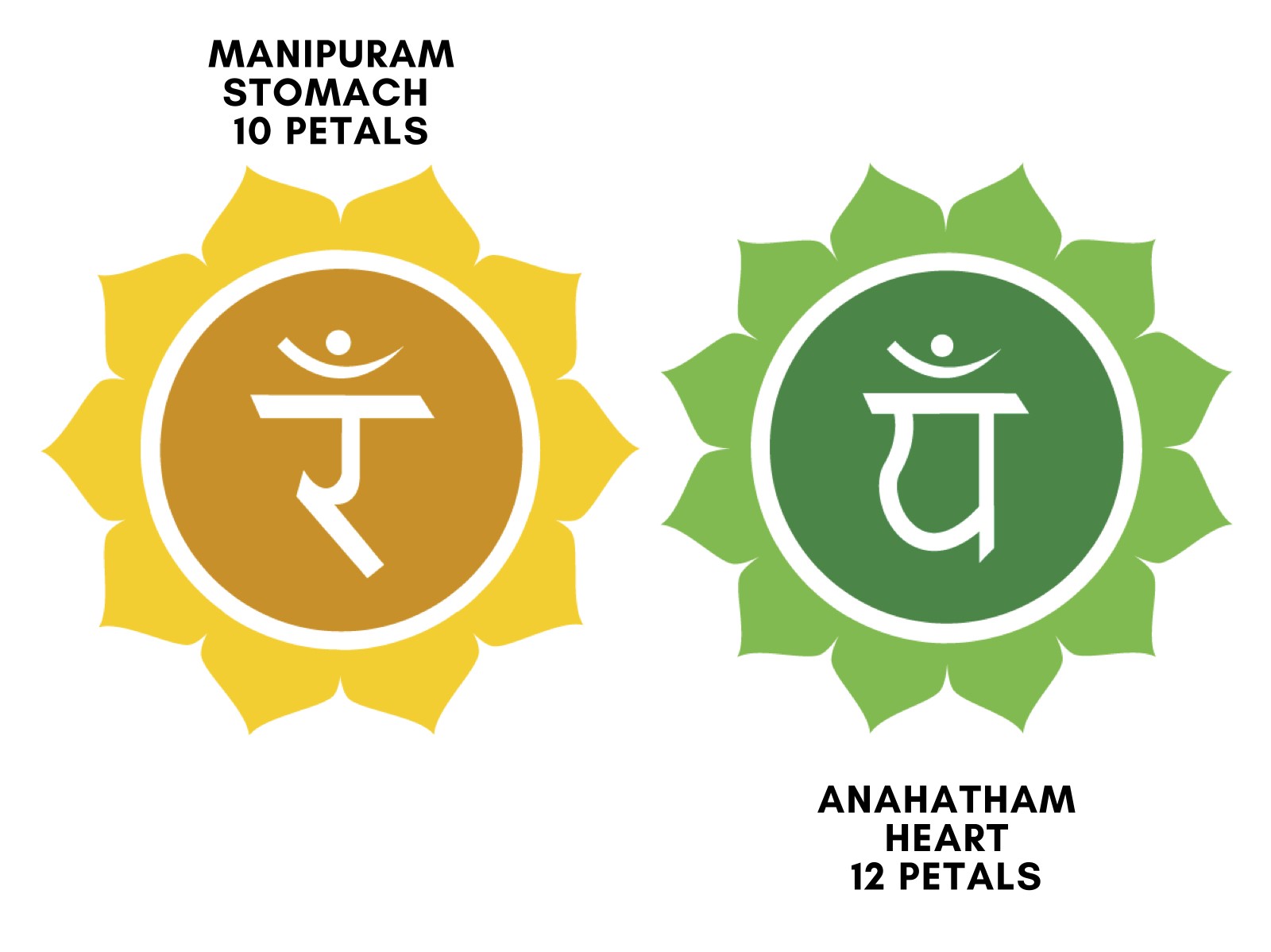 Beginner Edition: Sat Chakra Japam
