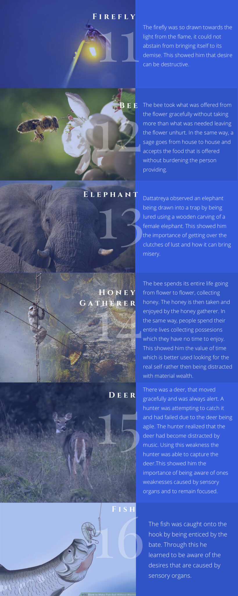 Dattatreya and his 24 Gurus