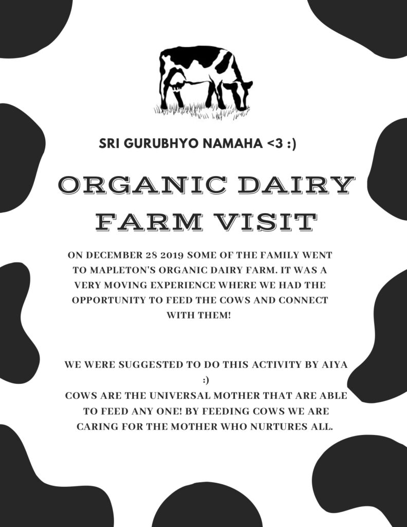 Organic Dairy Farm Visit