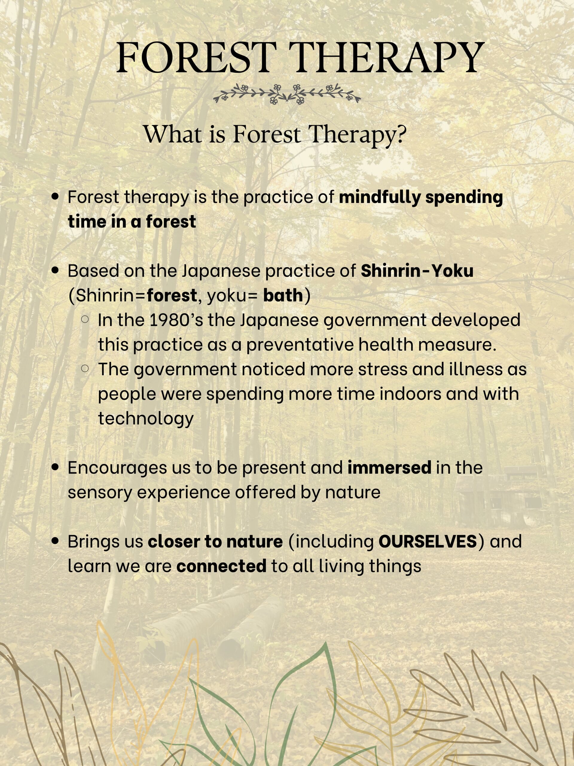 Forest Therapy